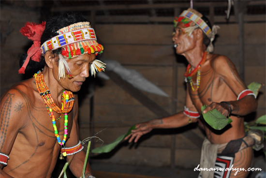 Mentawai Cultural Trip #7: Turuk Laggai, Gerak Tari Alam – dananwahyu.com